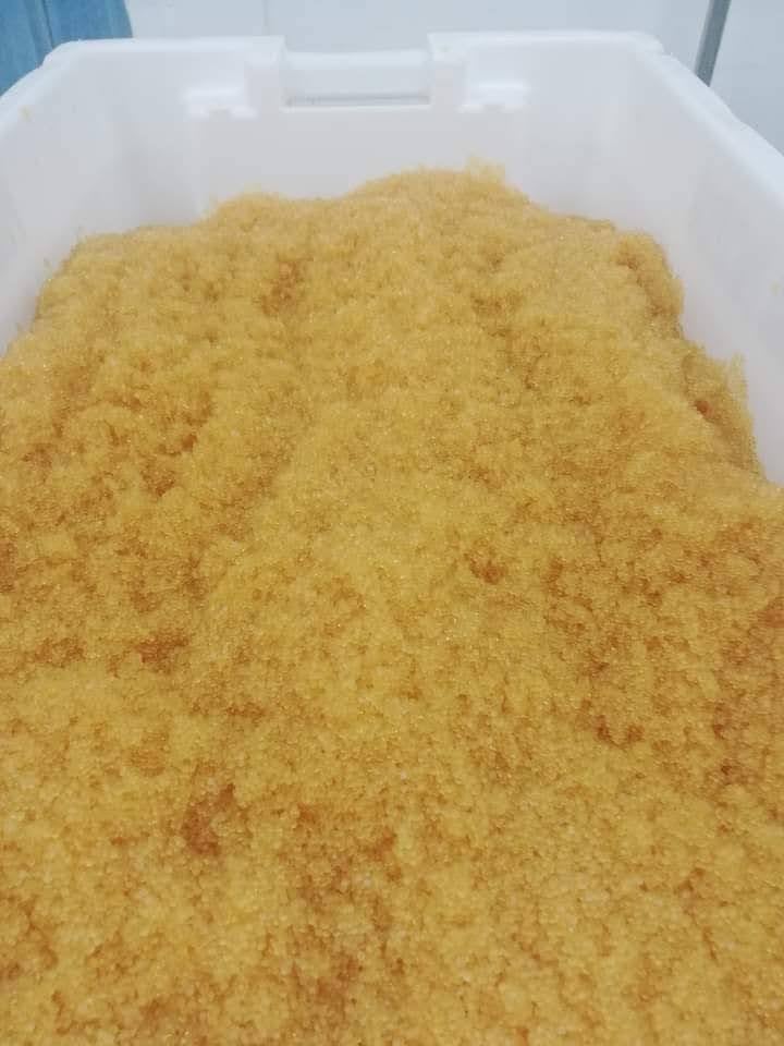 FLYING FISH ROE FROZEN TOBIKO PERU Proveedor Perú | Precio de Venta